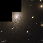 NGC 1275 - Full WFPC2 Mosaic | ESA/Hubble
