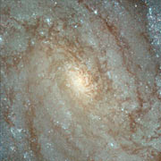 Details from ACS Image of NGC 3370: Center of Galaxy | ESA/Hubble