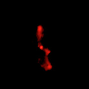 Radio Image of Galaxy Cluster MS 0735 | ESA/Hubble