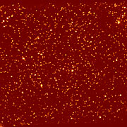 Star cluster | ESA/Hubble