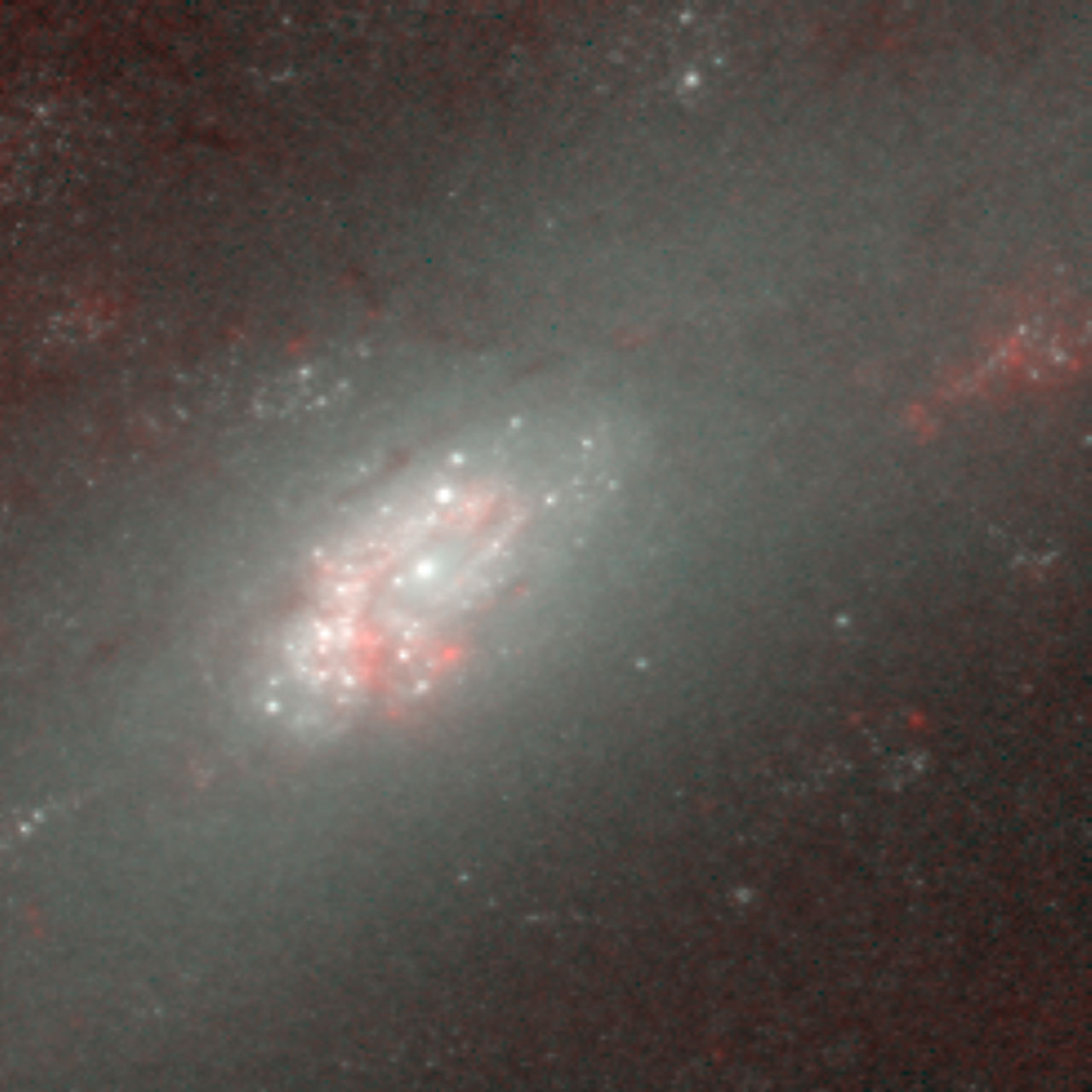 Hubble's Infrared Galaxy Gallery. A View of NGC 2903 | ESA/Hubble