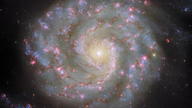 Face to face with a spiral’s arms