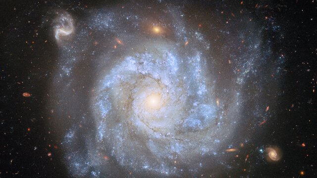 A supernova-rich spiral
